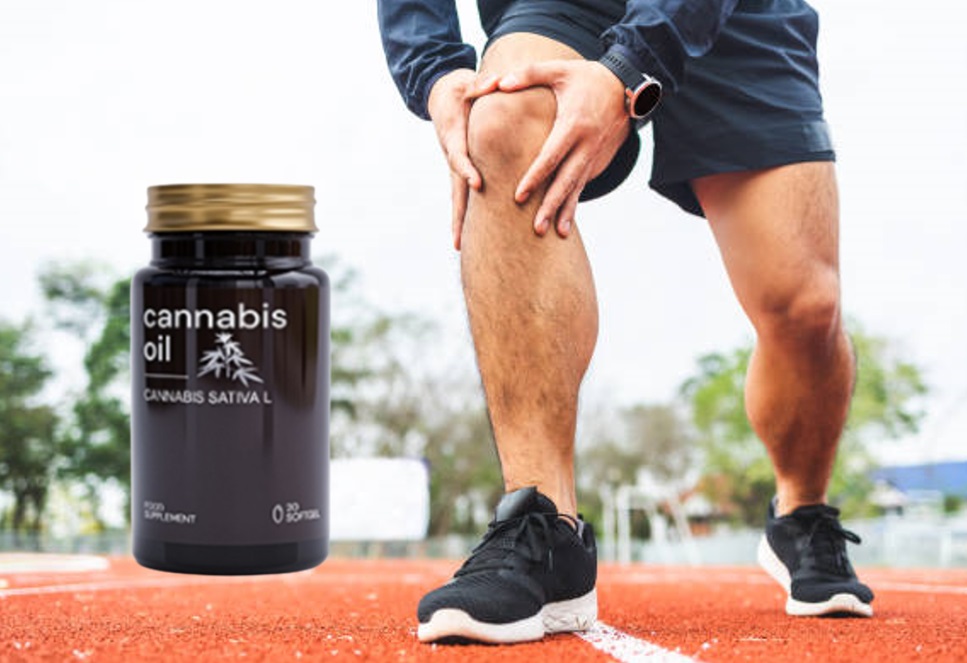 Cannabis Oil tabletki - opinie, cena, skład, forum, gdzie kupić